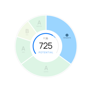 Your Credit Score made simple - Sesame Grade by Credit Sesame