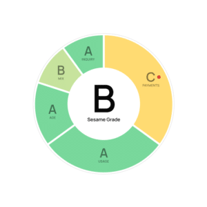 Your Credit Score made simple - Sesame Grade by Credit Sesame